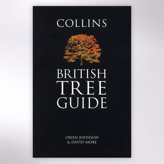 Buy Collins British Tree Guide book - The Woodland Trust Shop ...