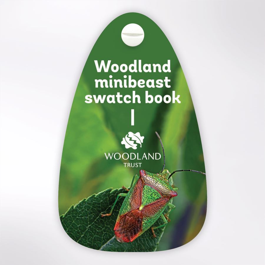 Insect & Minibeast Identification Swatch Guide | Woodland Trust Shop