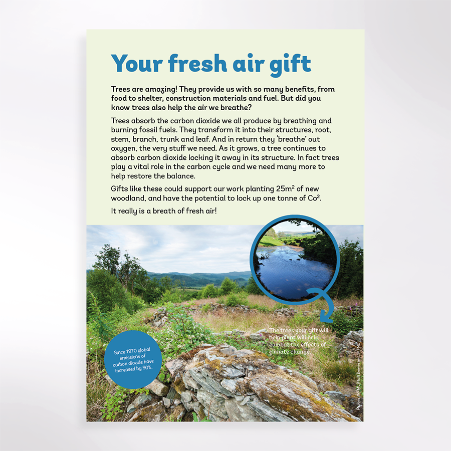 Breath of Fresh Air: Environmental Charity Gifts - Woodland Trust ...
