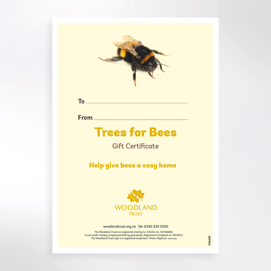 Trees for bees | Woodland Trust Shop