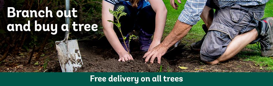 Woodland Trust Shop | Buy trees - Woodland Trust Shop