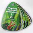 Insect & Minibeast Identification Swatch Guide | Woodland Trust Shop