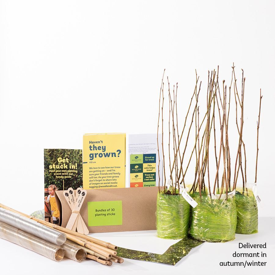 Tree planting events kit For Sale - Woodland Trust | Woodland Trust Shop