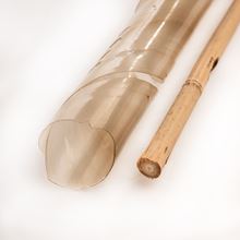 Rowan (Mountain Ash) Tree (Sorbus aucuparia) - Woodland Trust ...