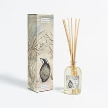 Candles and home scent | Woodland Trust Shop