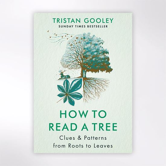 How to read a tree | Woodland Trust Shop