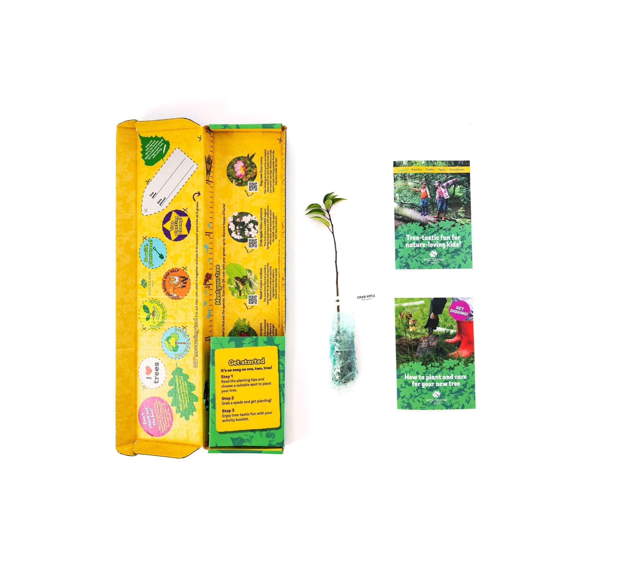 Kids tree-planting kit gift | Woodland Trust Shop