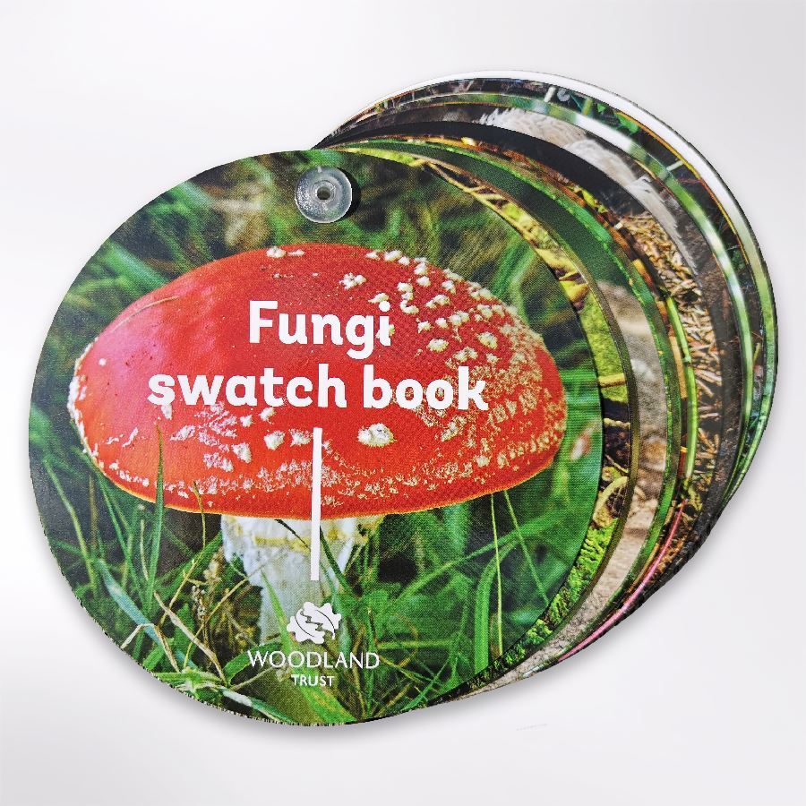 Mushroom & Fungi Identification Swatch Book - Woodland Trust Shop ...