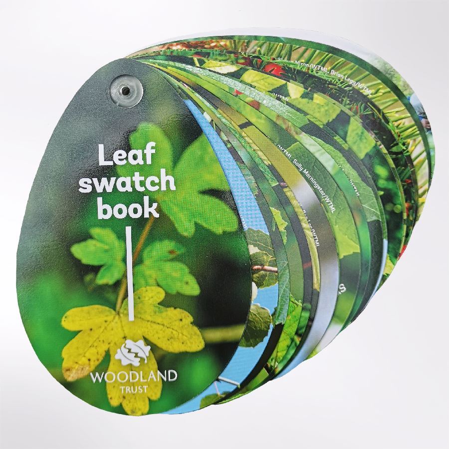 Tree & Leaf Identification Swatch Guide | Woodland Trust Shop