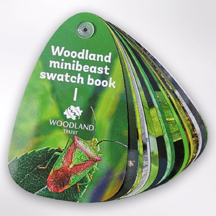 Insect & Minibeast Identification Swatch Guide | Woodland Trust Shop