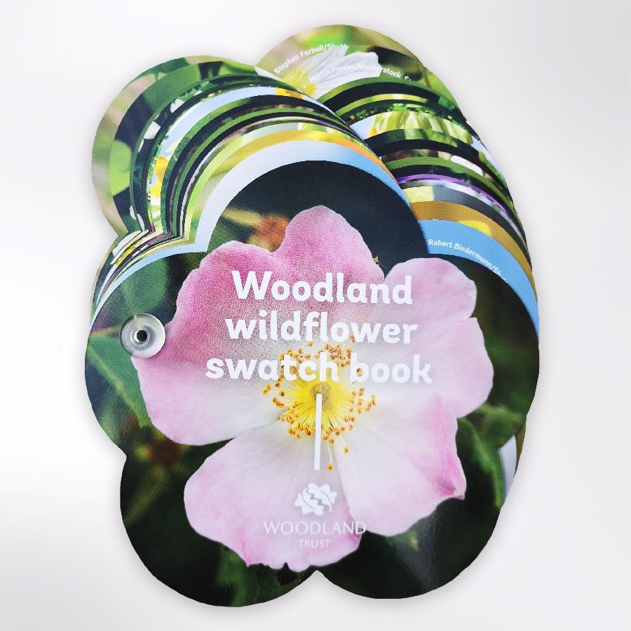 British Wildflowers Identification Swatch Guide | Woodland Trust Shop