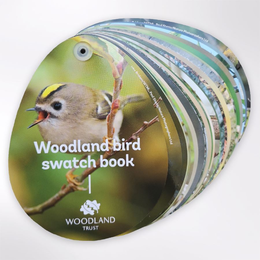 British Bird Identification Swatch Book - Woodland Trust Shop ...
