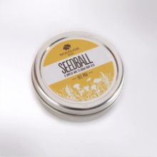 Buy a bee friendly garden mix - Woodland Trust Shop | Woodland Trust Shop
