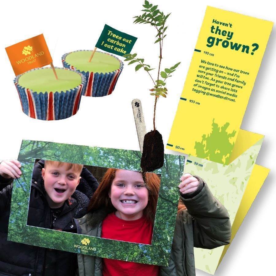 Tree planting events kit For Sale - Woodland Trust | Woodland Trust Shop