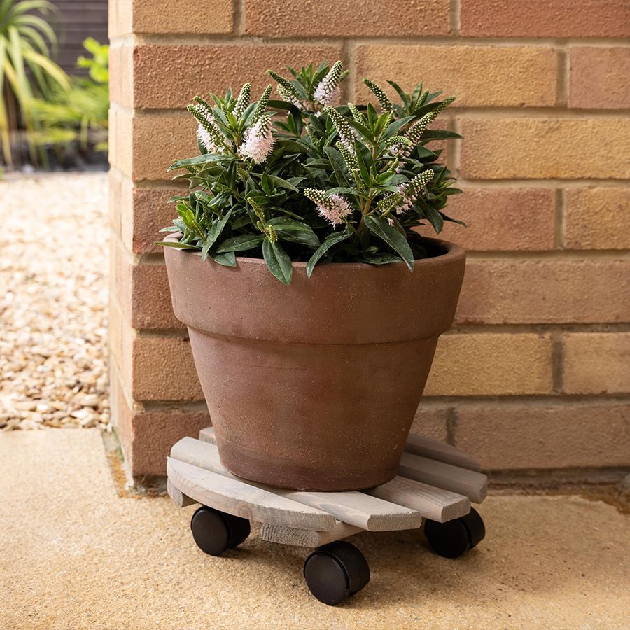 Wooden Plant Pot Trolley Stand on Wheels | Woodland Trust Shop