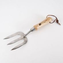 Rowan (Mountain Ash) Tree (Sorbus aucuparia) - Woodland Trust ...