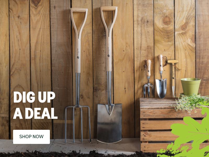 Woodland Trust Shop | Woodland Trust Shop