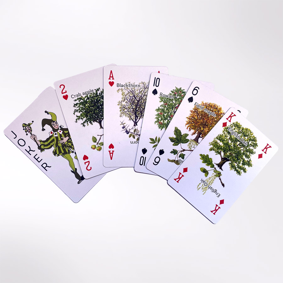 UK Trees Playing Cards – Woodland Trust | Woodland Trust Shop