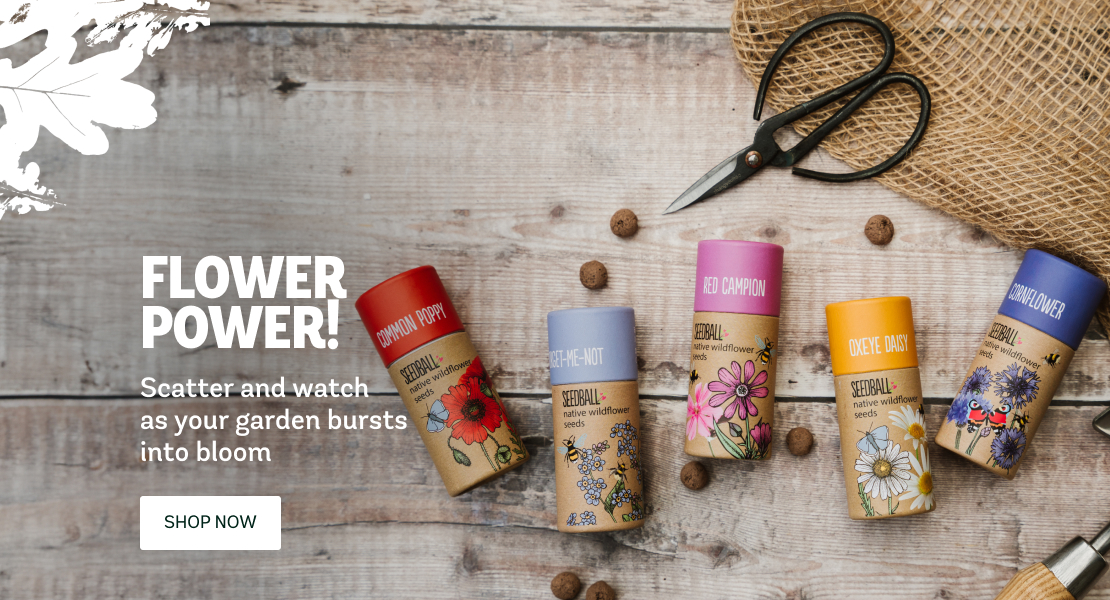 Woodland Trust Shop|Woodland Trust Shop