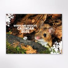 sale | Woodland Trust Shop
