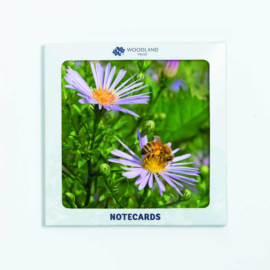 Woodland Trust notecards - wildflowers | Woodland Trust Shop