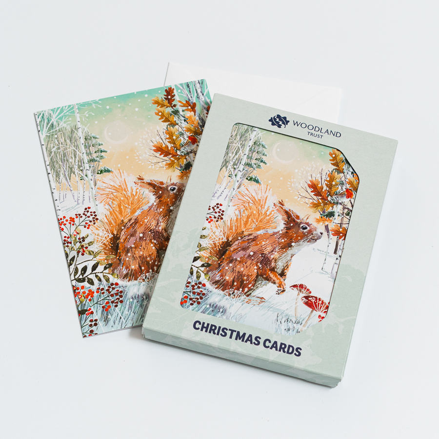 Snowy red squirrel charity Christmas cards | Woodland Trust Shop