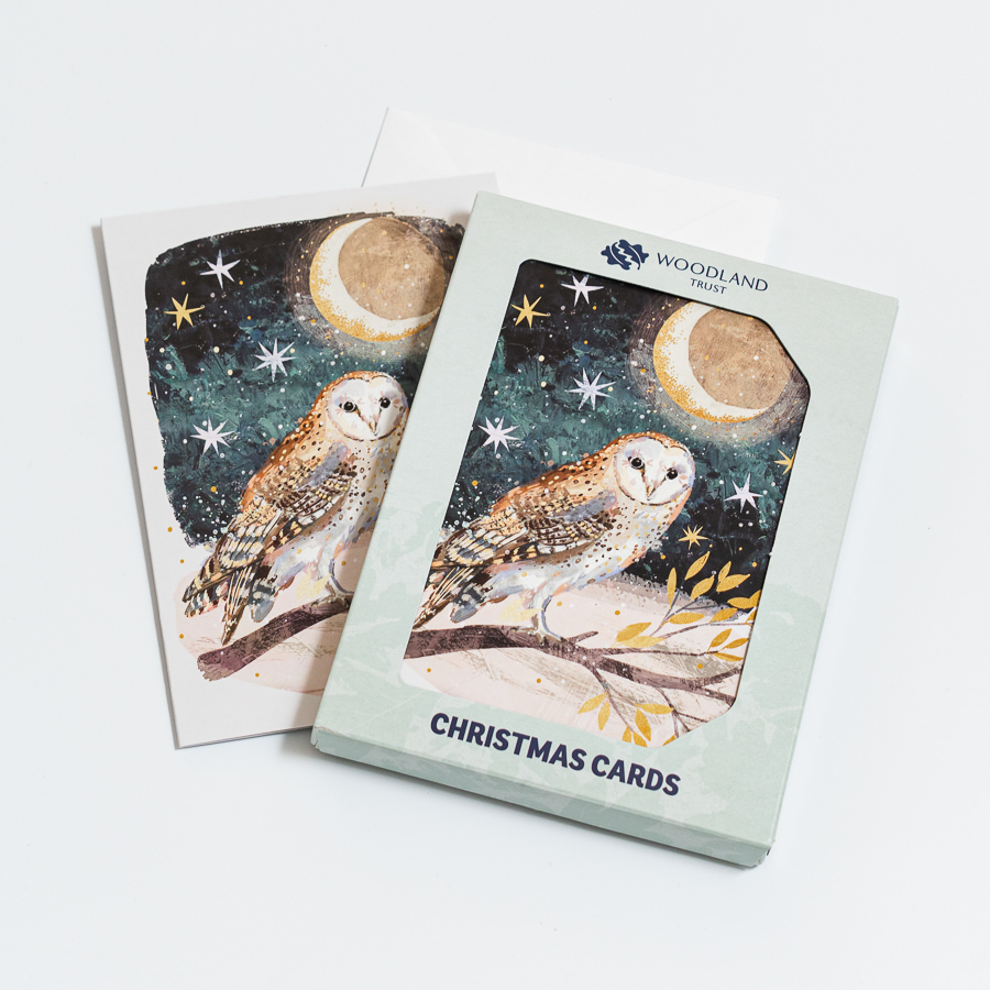 Moonlit owl charity Christmas cards | Woodland Trust Shop