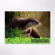 2026 Calendars | Woodland Trust Shop