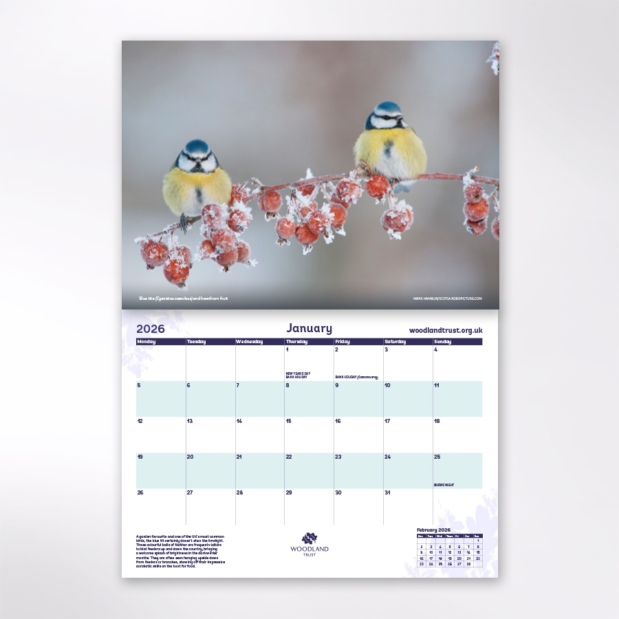 Woodland Trust Wildlife Calendar 2026 | Woodland Trust Shop